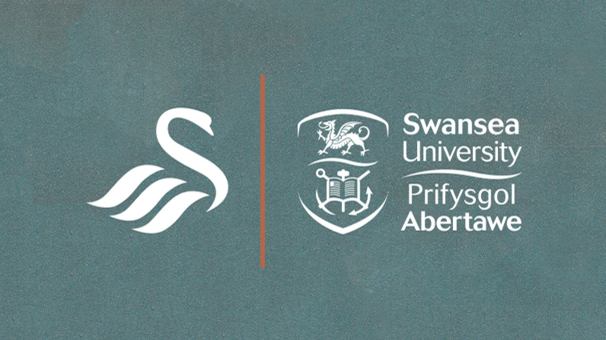 Swansea University extends Swans partnership | Swansea